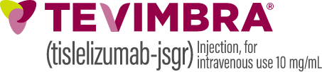 ESCC and GC/GEJC Treatment | TEVIMBRA® (tislelizumab-jsgr)